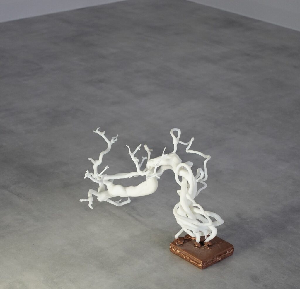 枯盆栽｜ドライ盆栽｜枯れ盆栽｜プリザーブド盆栽｜dry-bonsai